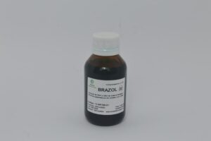 Brazol (Reagente a base de fenol para extração de ácidos nucléicos e ...